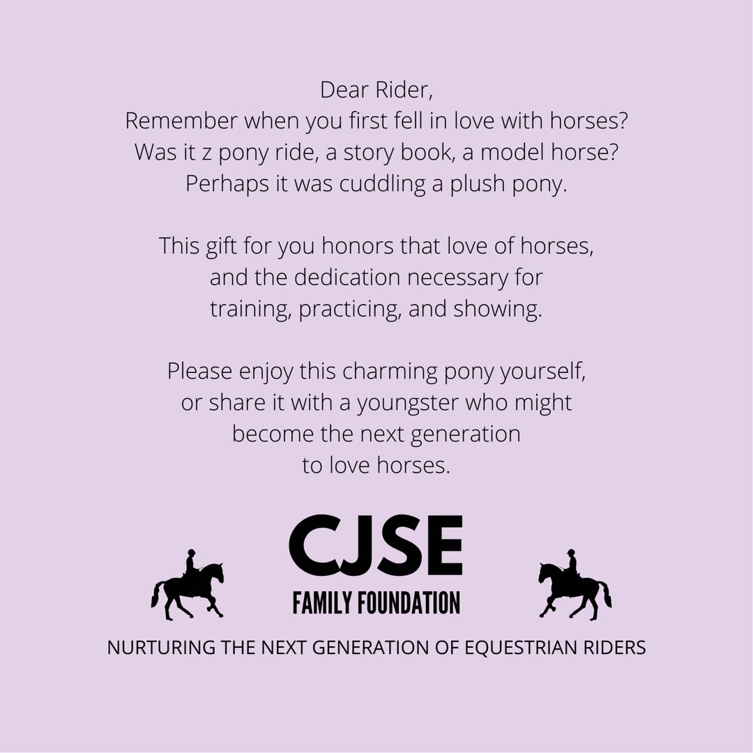 CJSE: Nurturing the Next Generation of Equestrian Riders – DL Holdings